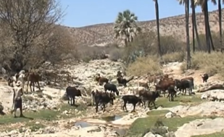 Namibia asks for support because of a severe drought that threatens ...