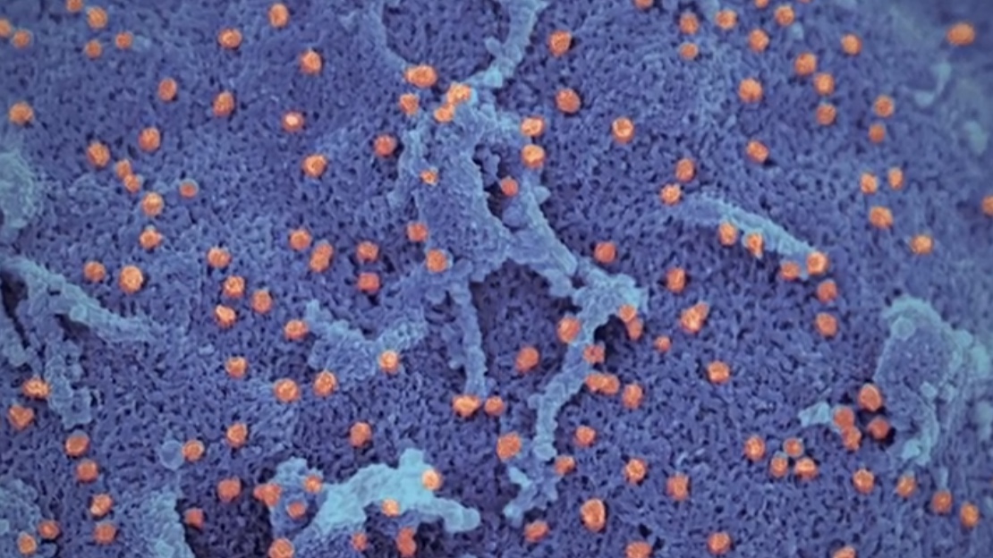 Japan to focus on Avigan, Futhan, and other drugs to fight coronavirus ...